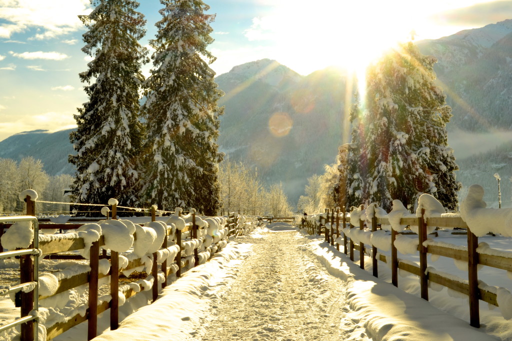 How to Keep Your Hands & Feet Warm - Winter Gloves & Winter Riding ...