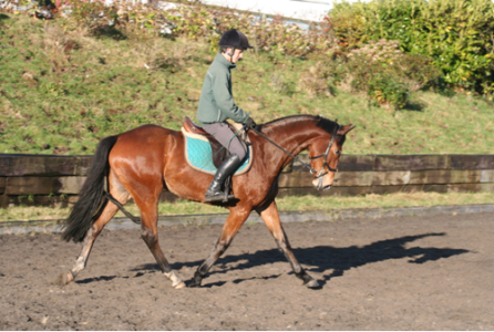 William Micklem: The Surprises and Delights of Life - Discussions at ...