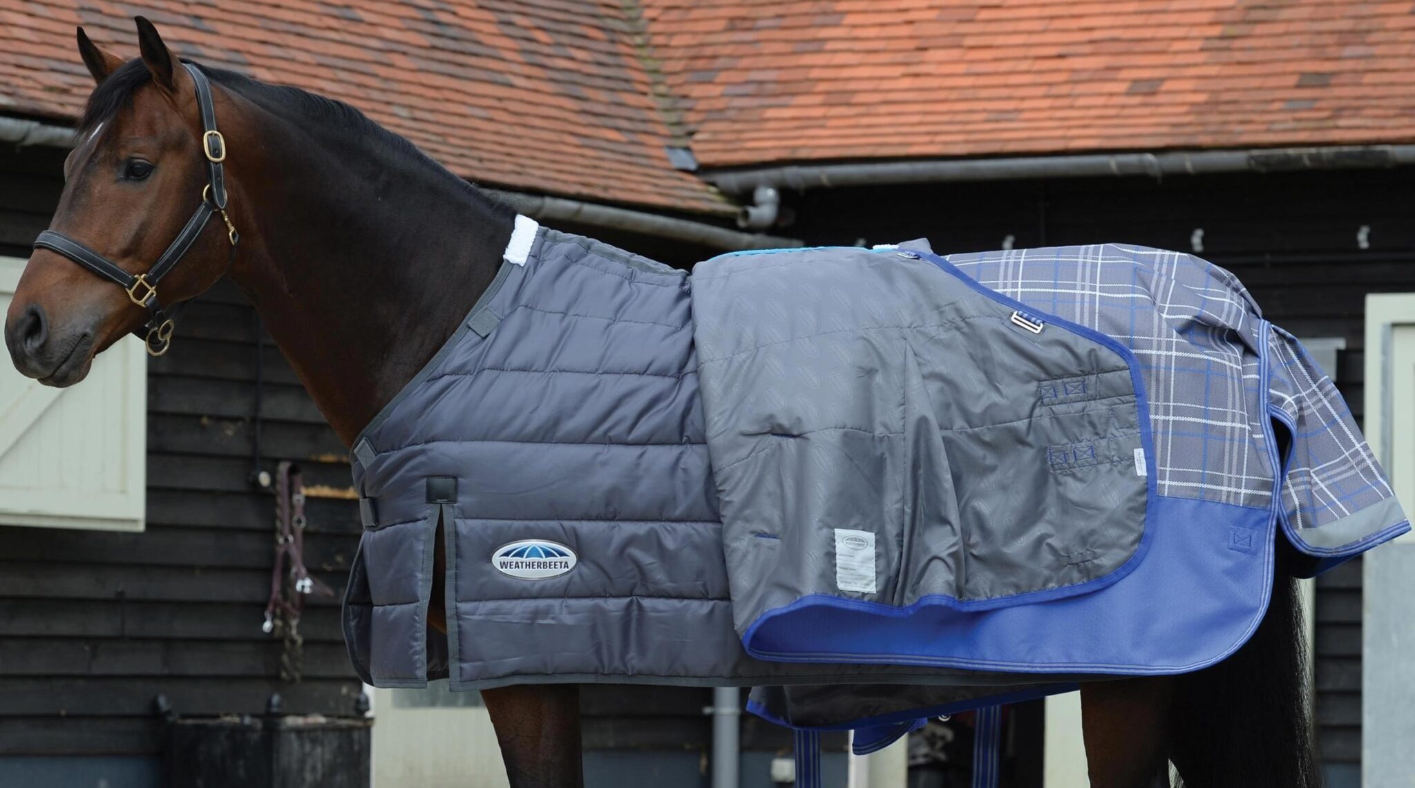 Discussions at Dover - A Blog for the English RiderDiscussions at Dover ...