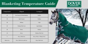 Blanketing Tips: How to Choose the Best Blankets to Keep Your Horse ...